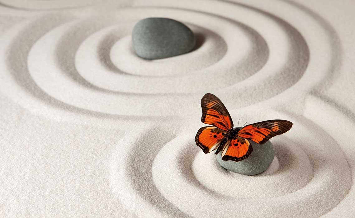 What Is Shifting Realities? A Beginner’s Guide
